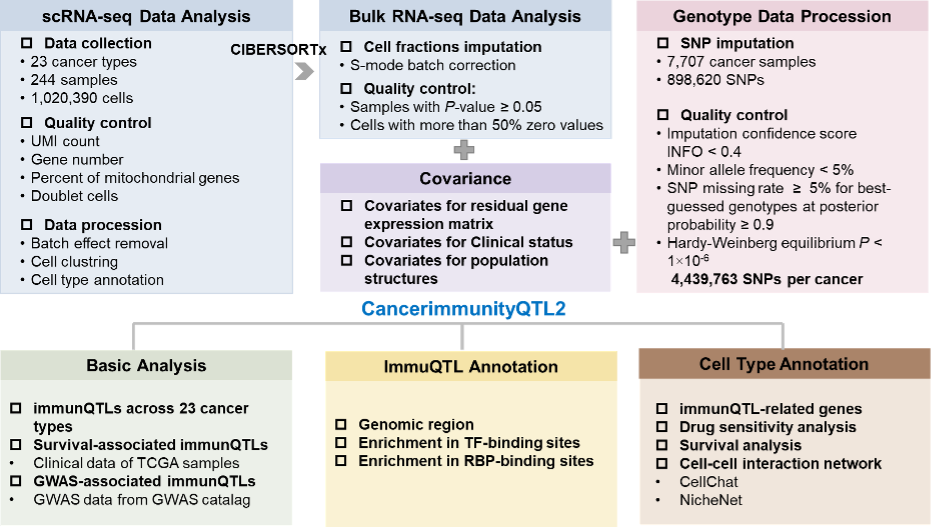 CancerImmunityQTL2 - Pan-Cancer Immunity Quantitative Trait Loci Based on scRNA-seq Reference ...
