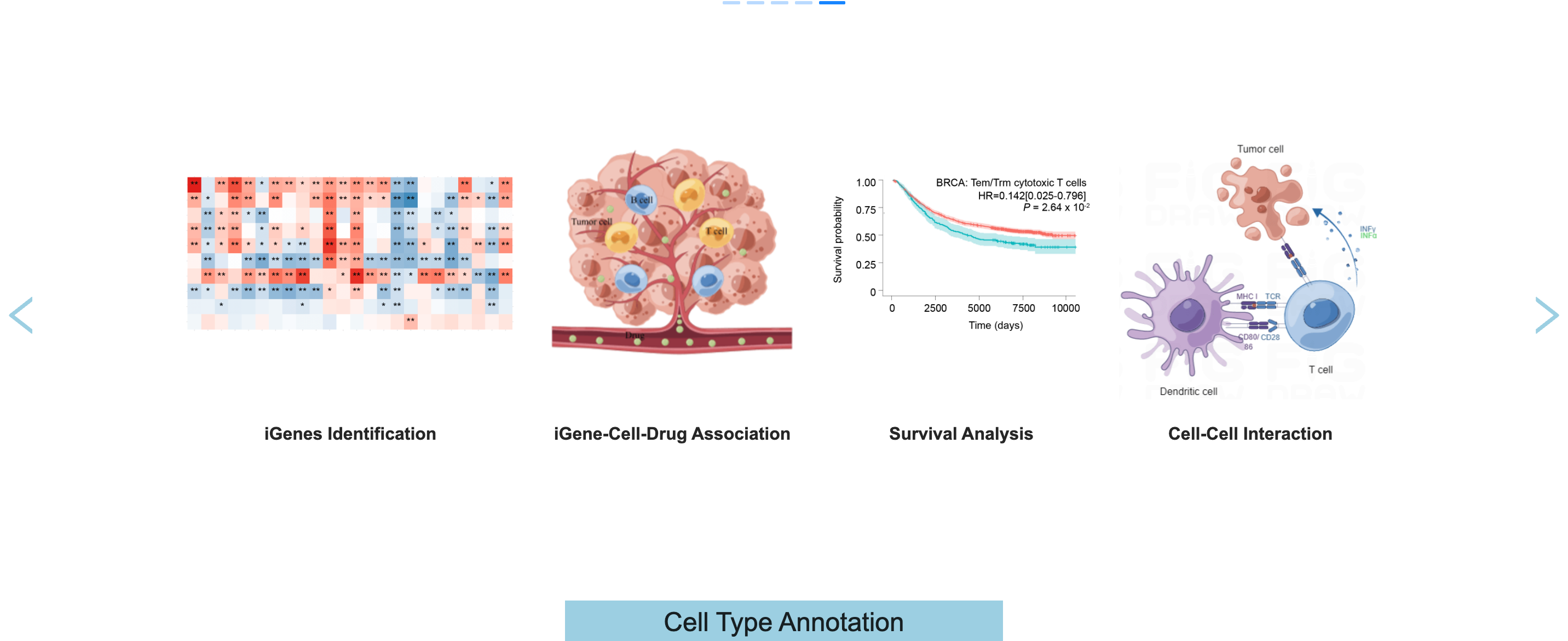 CancerImmunityQTL2 - Pan-Cancer Immunity Quantitative Trait Loci Based on scRNA-seq Reference ...