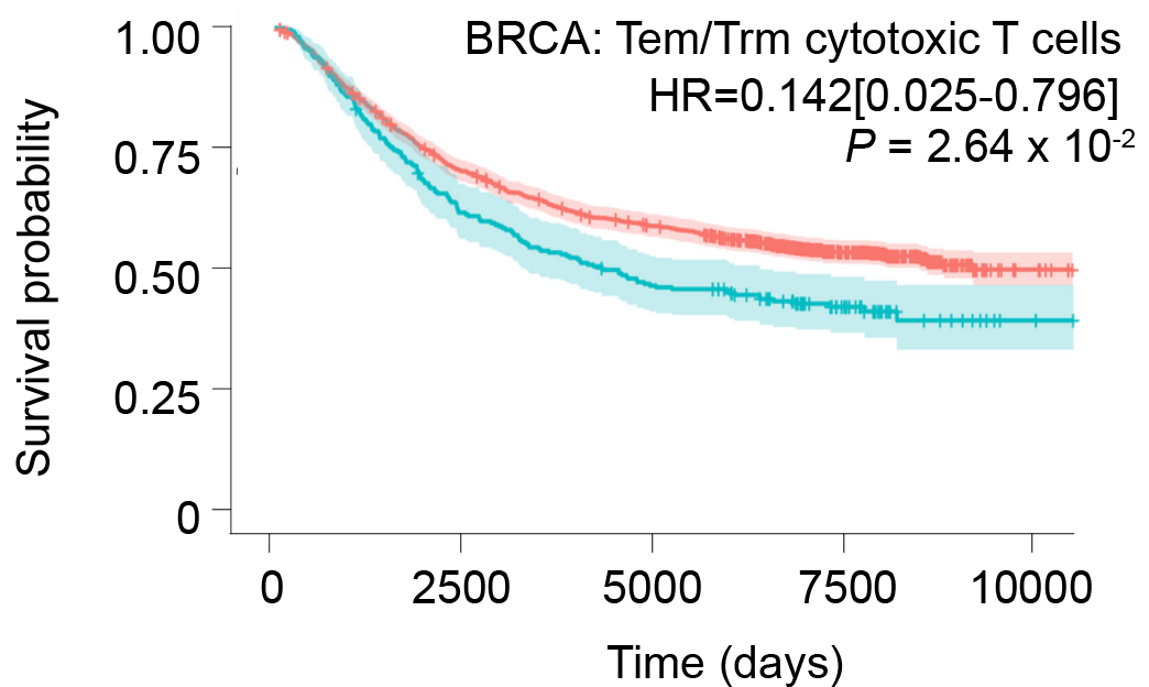 CancerImmunityQTL2 - Pan-Cancer Immunity Quantitative Trait Loci Based on scRNA-seq Reference ...