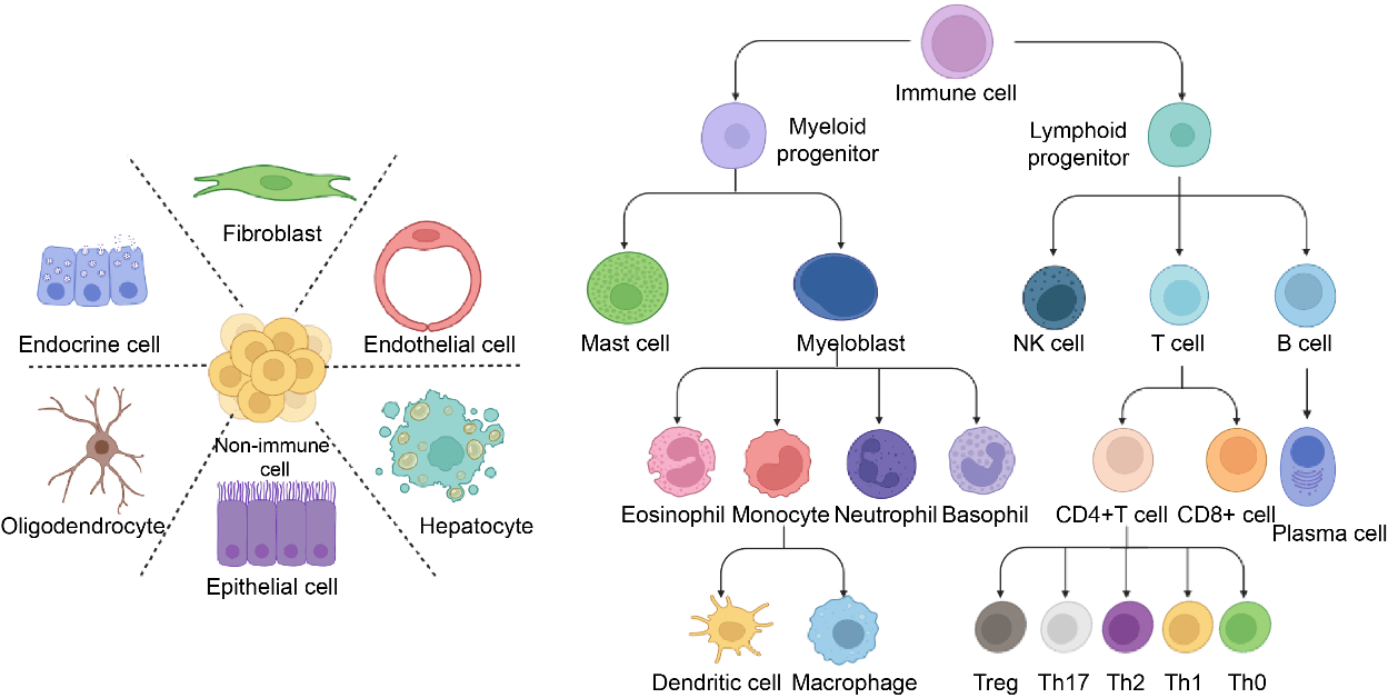 CancerImmunityQTL2 - Pan-Cancer Immunity Quantitative Trait Loci Based ...