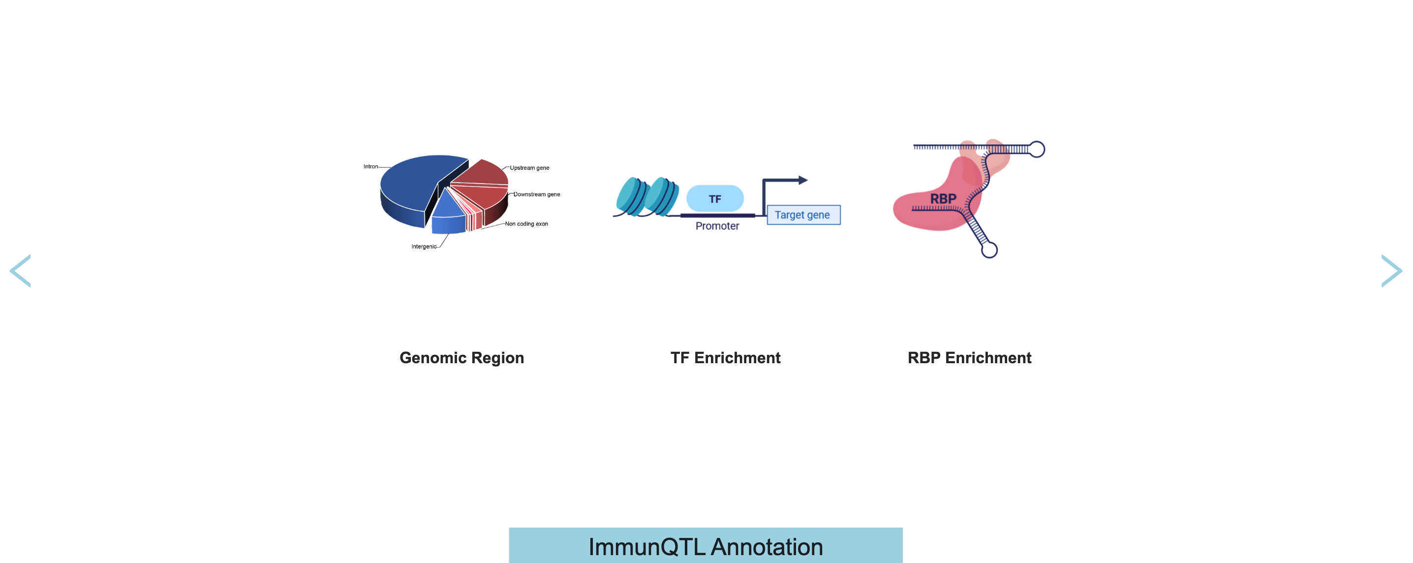 CancerImmunityQTL2 - Pan-Cancer Immunity Quantitative Trait Loci Based on scRNA-seq Reference ...